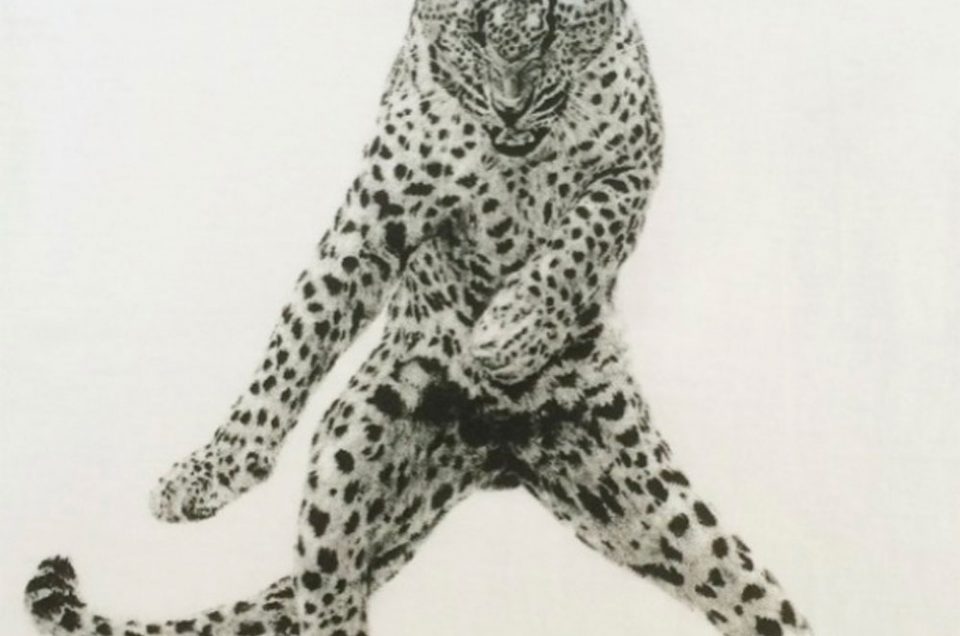 Leopard – Screenplay